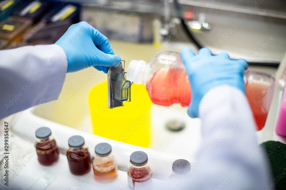 Scientists are preparing specimens for cytology to check for ...