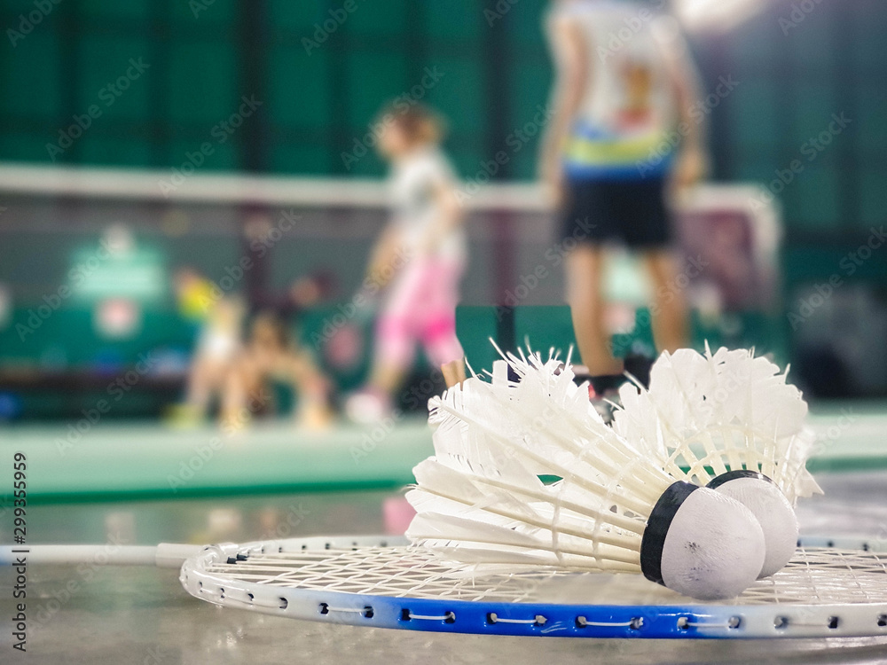 Shuttlecock on the badminton racket Stock Photo | Adobe Stock