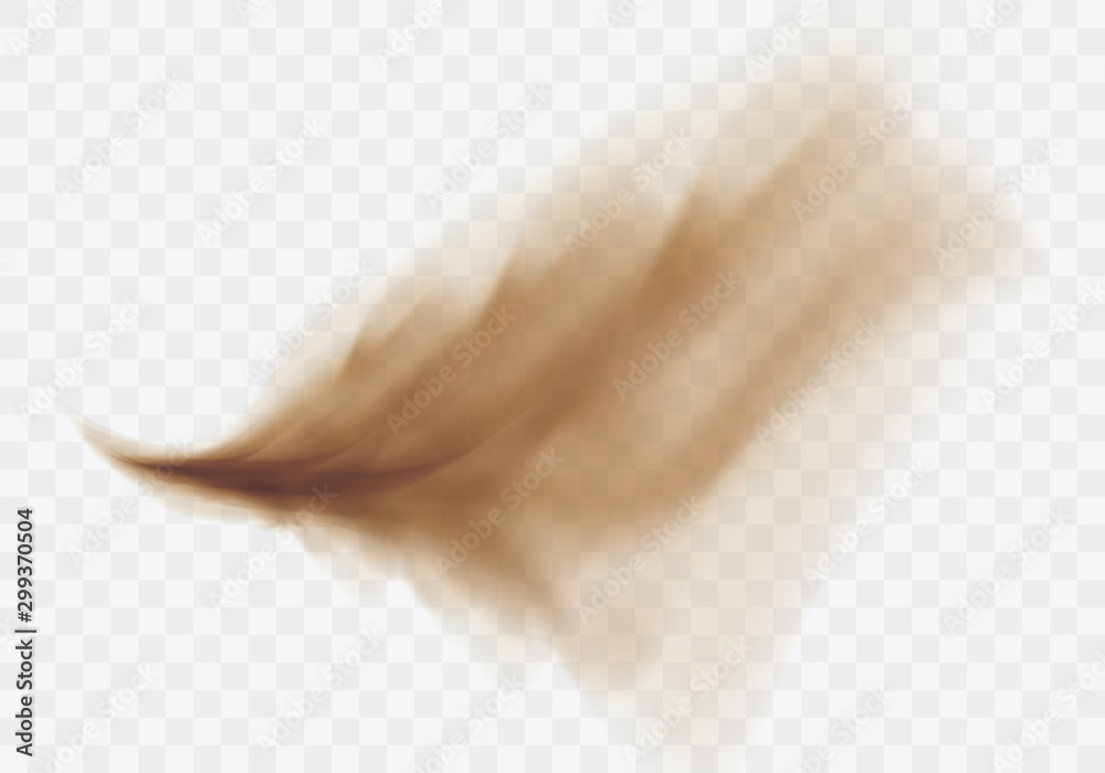 Desert sandstorm, brown dusty cloud or dry sand flying with gust of ...