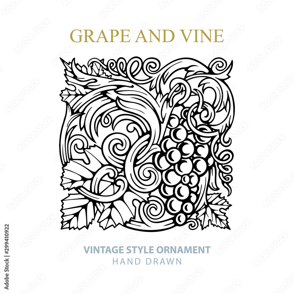 Grapes. Grape and vine engraving style hand drawn vector illustration ...