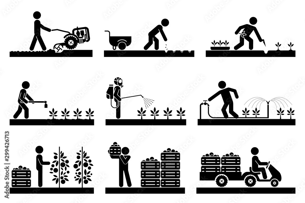 Pictogram icon set presenting different stages in agricultural process ...