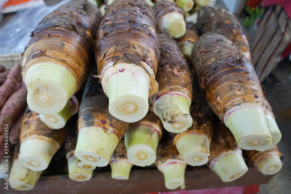 Taro pile.Taro (scientific name: Colocasia esculenta var. Esculenta) is ...