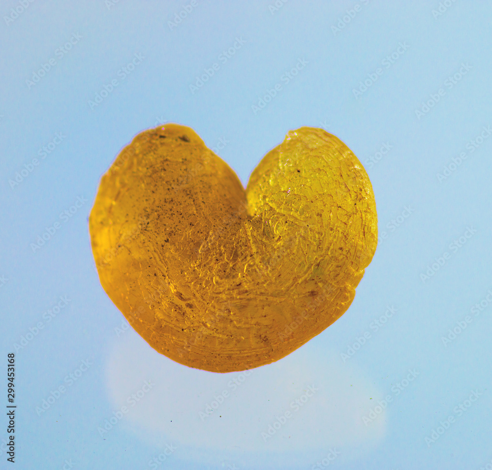 Arabic gum manna natural mana resin crystal, senegal acacia on table ...