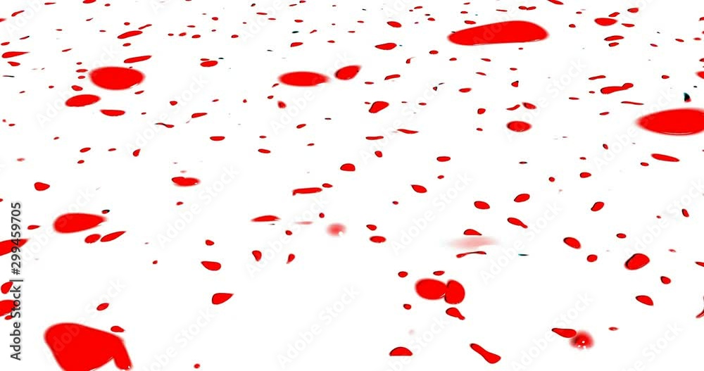 Red paint splatter on white background animation. Chaotic blood drops ...
