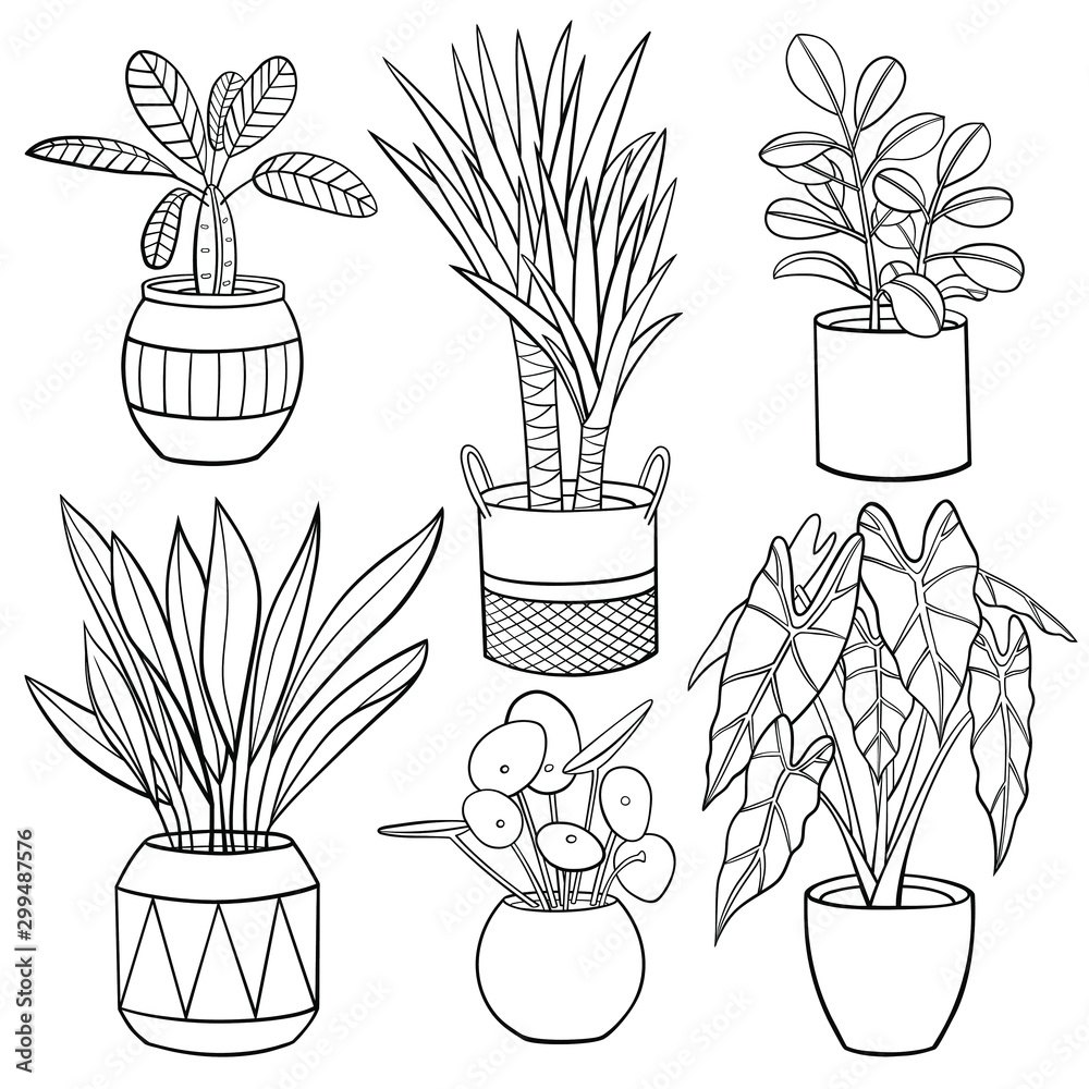 Set of different hand drawn houseplants in planters. Vector outline ...