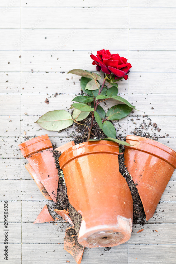 Smashed Flower Pot
