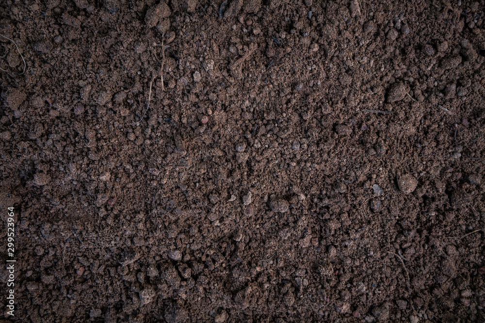 Soil background Stock Photo | Adobe Stock