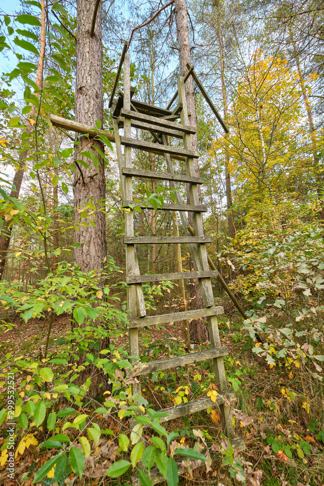 Weathered self-made wooden high seat of a hunter at a tree in the ...