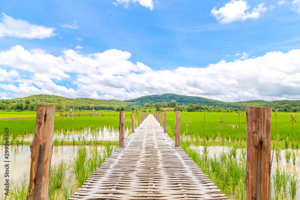 Wood bridge, Farmer planting of the rice season, be prepared for ...