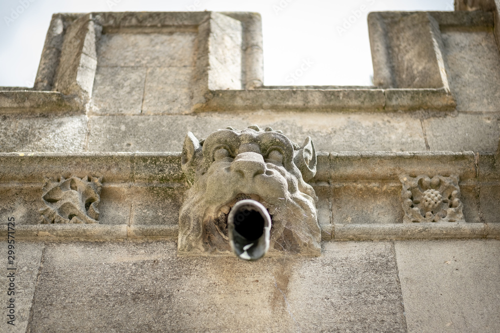 Detailed view of an historic, gargoyle seen atop a church tower in the ...