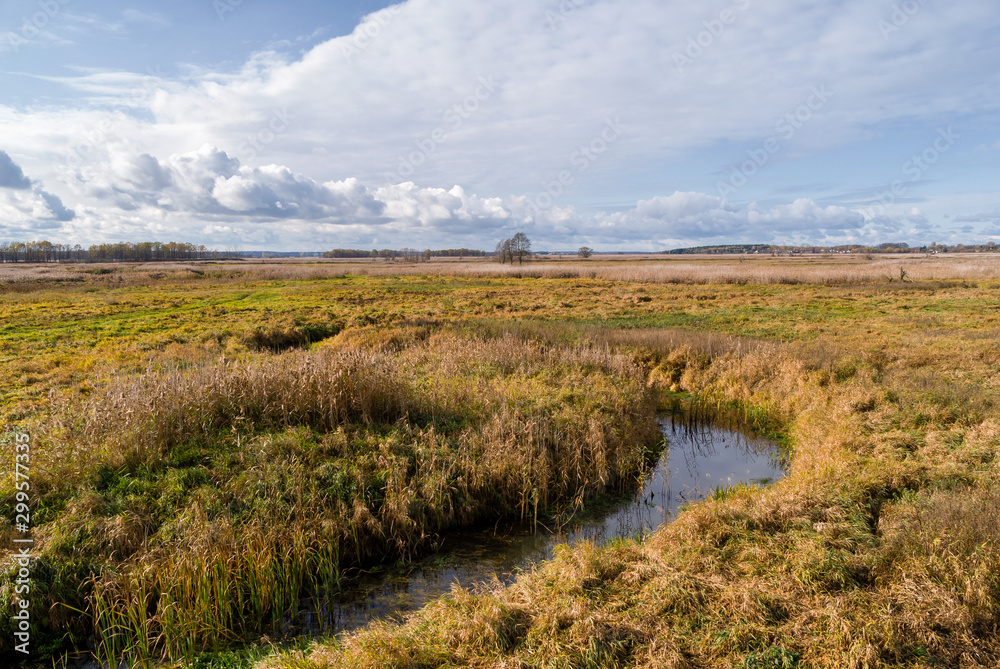 Narwiański Park Narodowy, Topilec, Podlasie, Polska Stock Photo | Adobe ...