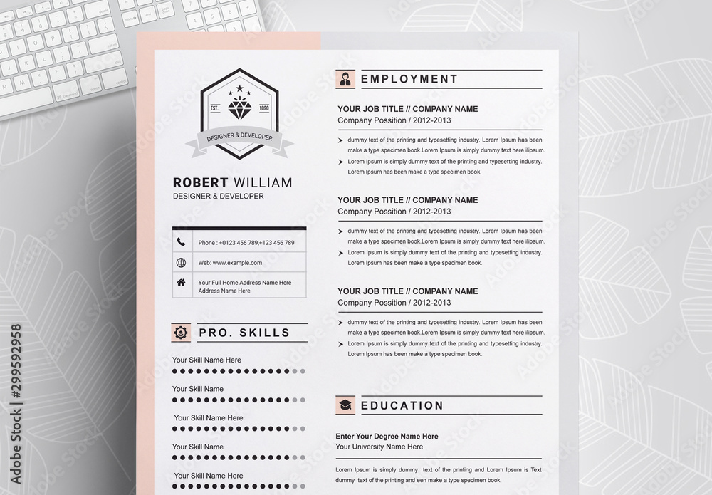 Resume Layout with Colorful Border Stock Template | Adobe Stock