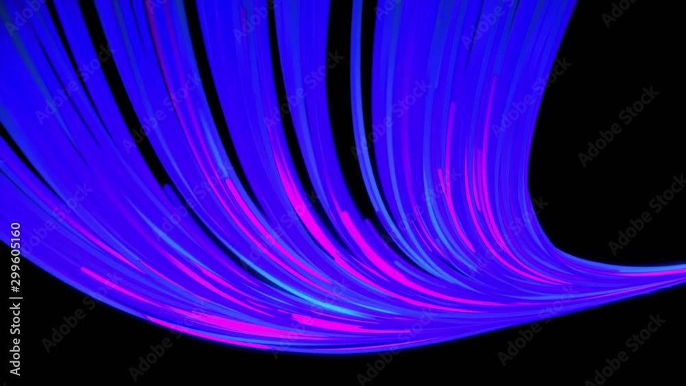 Beautiful 3D light effects, many bended blue and pink rays on black ...