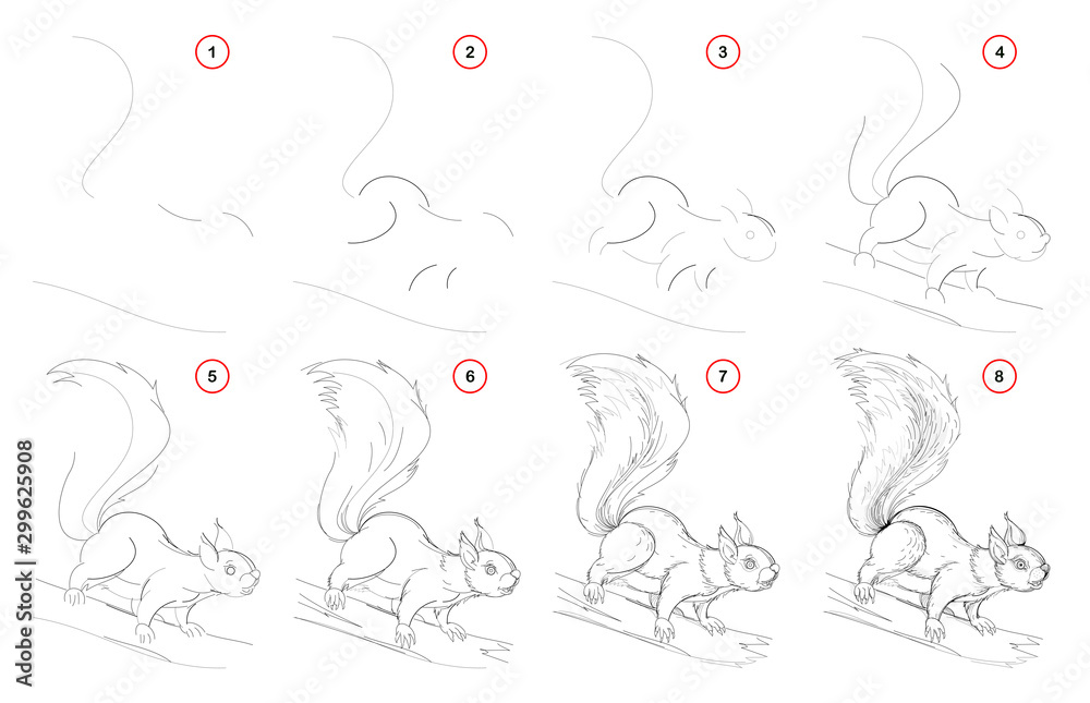 How to draw from nature step by step sketch of cute squirrel. Creation ...