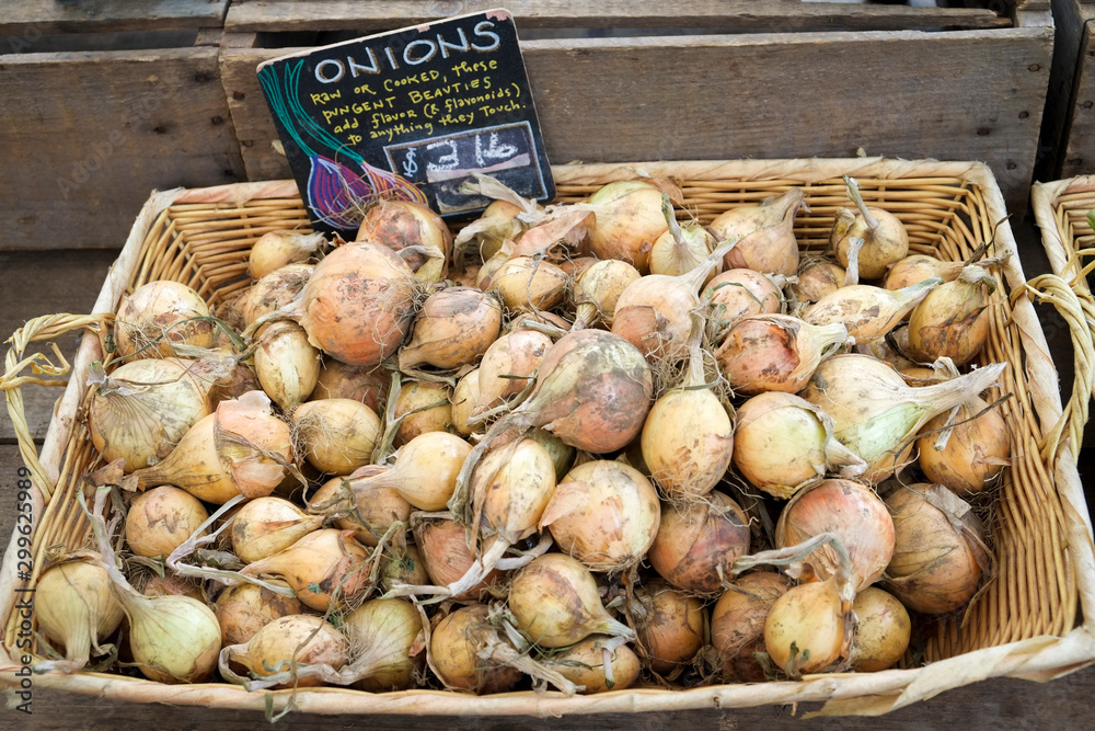 Onions for sale at Green market at Union Square Stock Photo | Adobe Stock