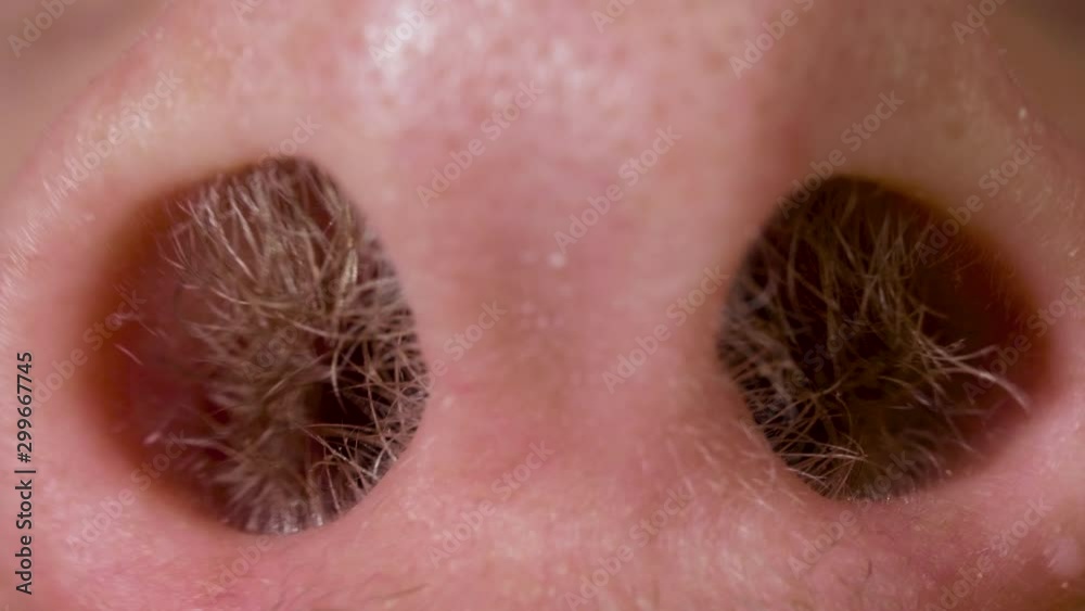 Hairy nostrils and nose of caucasian man close up in macro Stock Video ...