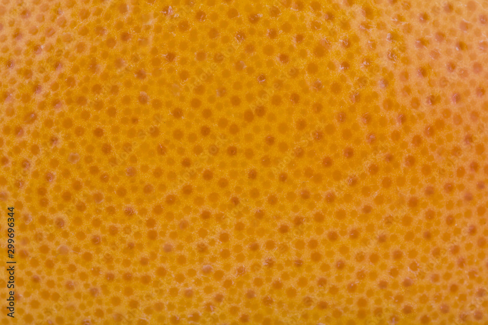 Orange skin texture of orange as background Stock Photo | Adobe Stock