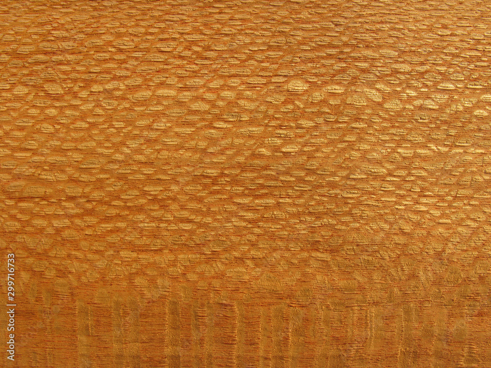 Wood texture background, veneer made of natural wood, exotic wood ...