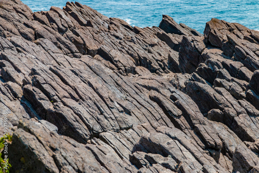Oshima island platy joint. Anto, Mikunicho, Sakai City, Fukui ...
