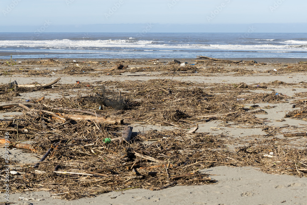 Litter and Plastics washed up on the beach and remnant of floods in ...