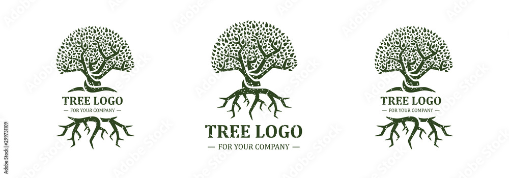 Tree logo isolated on a white background. Classic design. Green and ...