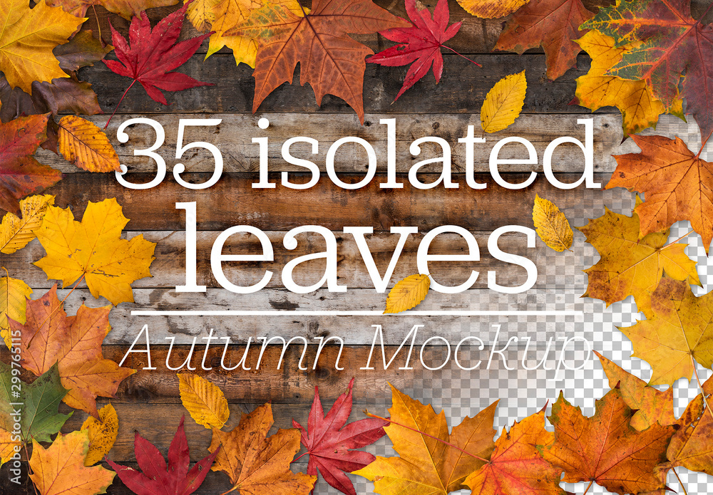 Autumn Leaves Mockup Stock Template | Adobe Stock