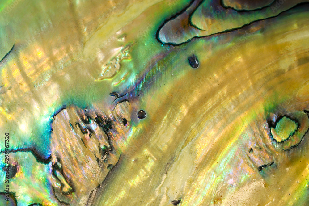 Abstract background of extreme close up of the rainbow of colors in an ...