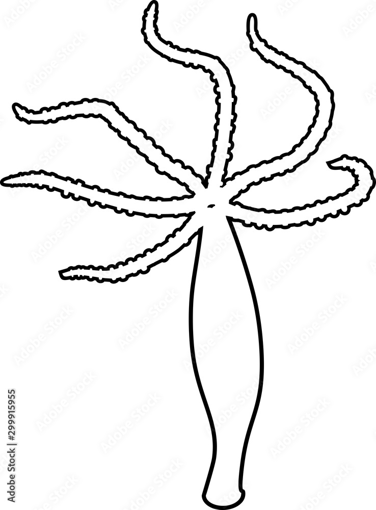 Coloring page with structure of Hydra Polyp Stock Vector | Adobe Stock