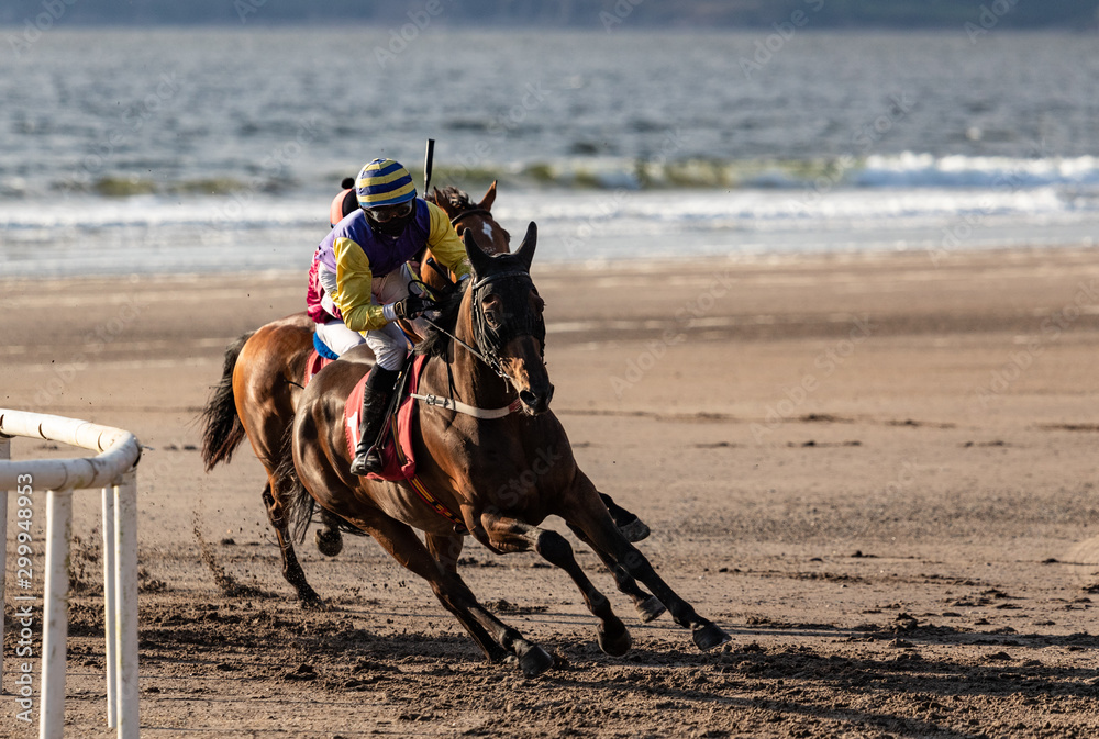 Lead Race horse and jockey racing around the corner of the track, Horse ...