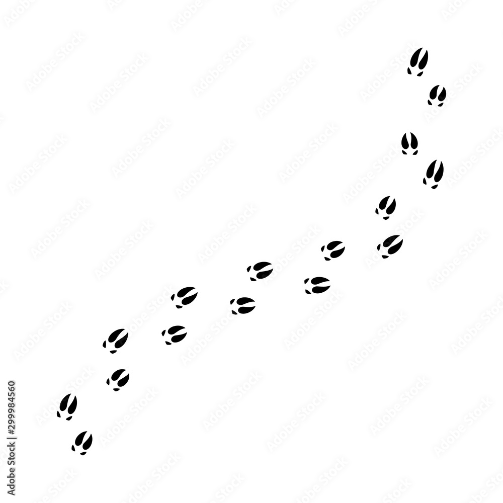 Pig's hoof (paw) prints. Vector illustration. Stock Vector | Adobe Stock