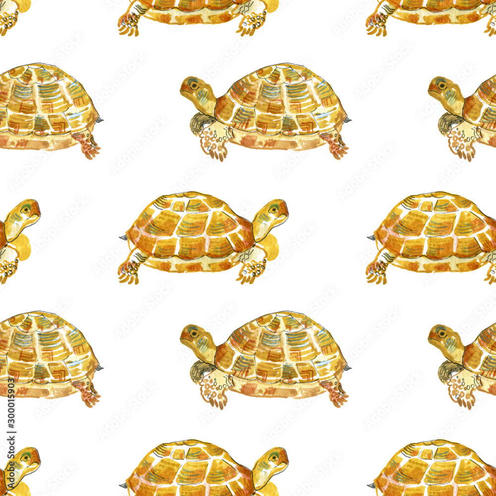 Watercolor hand drawn pattern of turtles. Illustration of turtles on ...