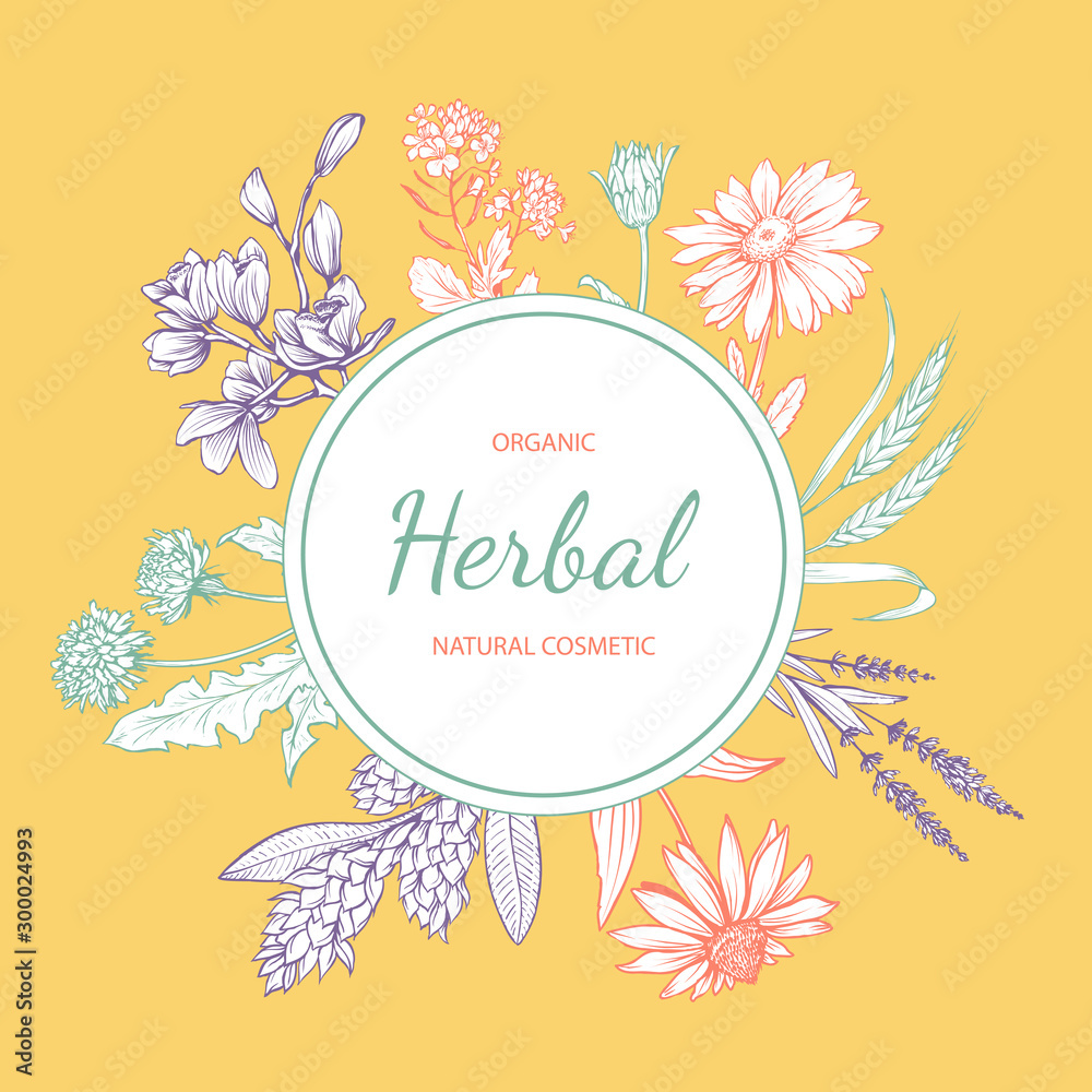 Natural cosmetics hand drawn vector label. Eco skincare product with ...