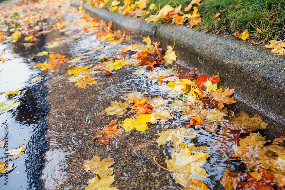 Fall leaves clogging stormwater drains at the curb in the street Stock ...