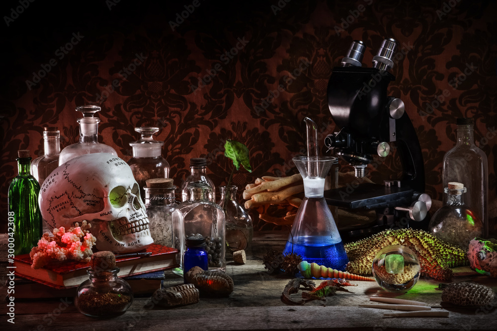Old, science still life of a skull and natural objects with dramatic ...