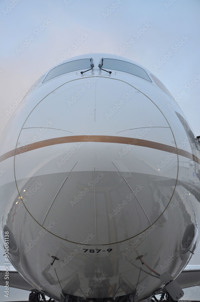 Front of a widebody commercial aircraft Stock Photo | Adobe Stock