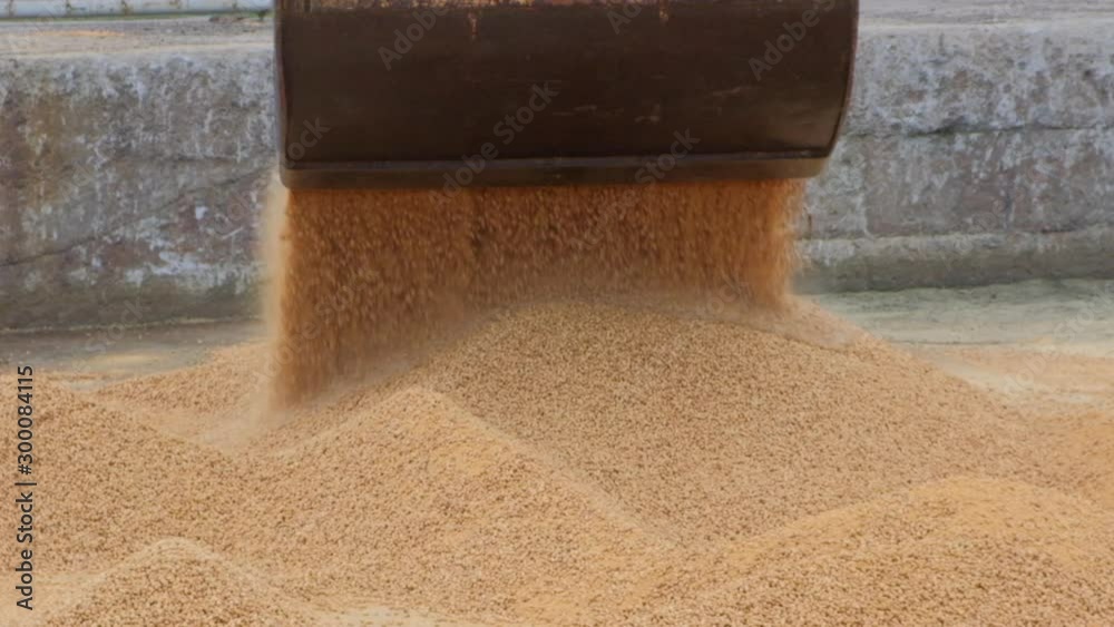 Grapple crane unloading and loading corn feed from truck in port ...