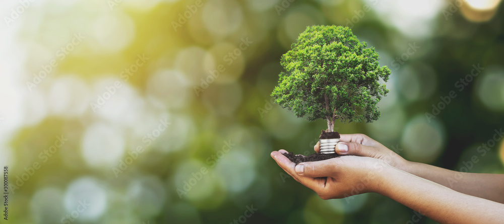 Tree planting on volunteer family's hands for eco friendly and ...