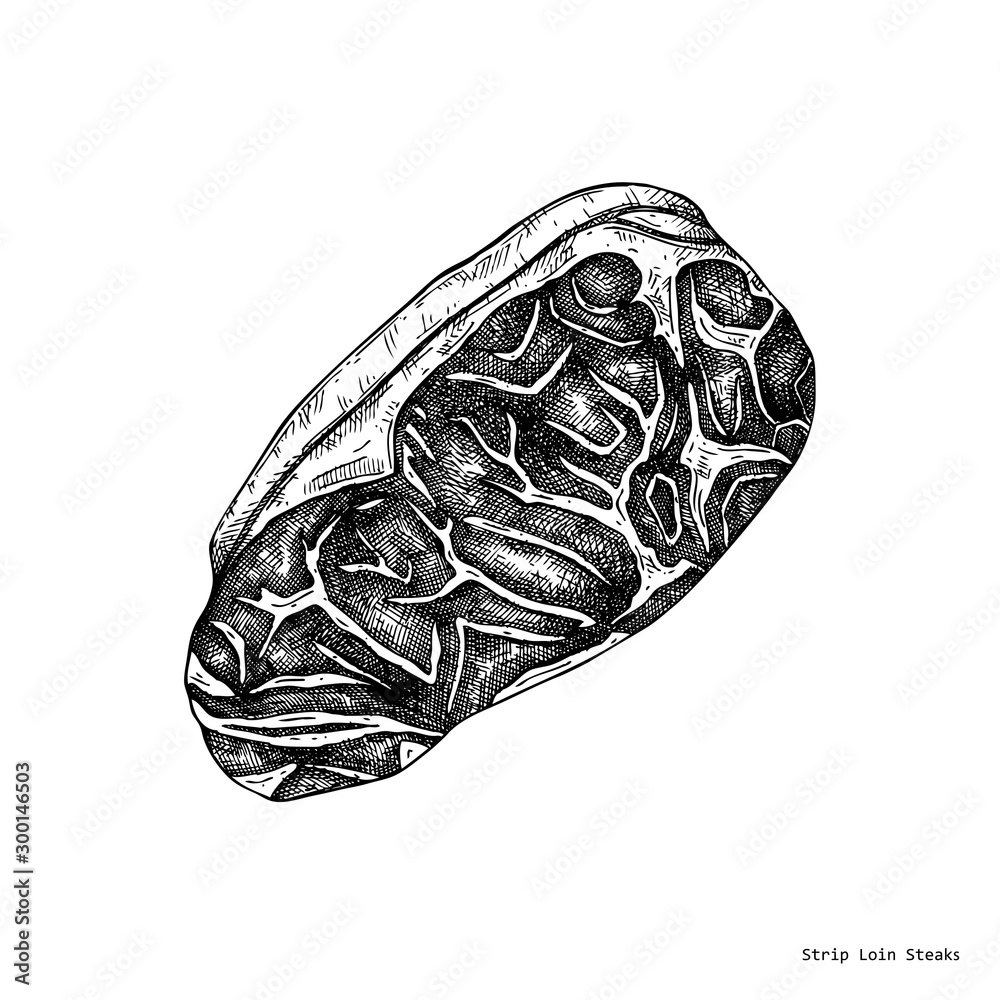 New York strip steak vector illustration. Raw meat top view drawing ...