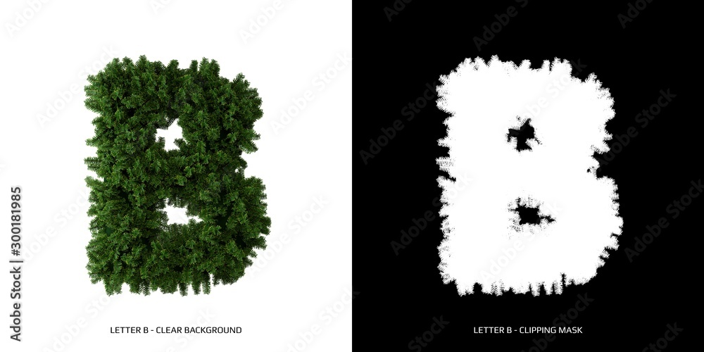 Landscaping Plants Beginning With The Letter B What Are Some Flower ...