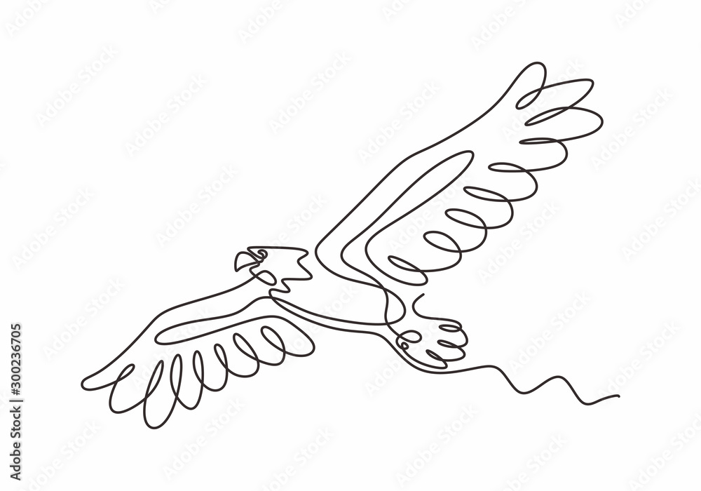 Continuous one line drawing of eagle or hawk bird vector, Illustration minimalism birds flying ...