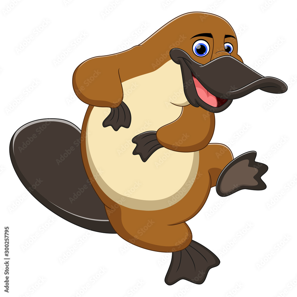 Cartoon platypus isolated on white background Stock Vector | Adobe Stock