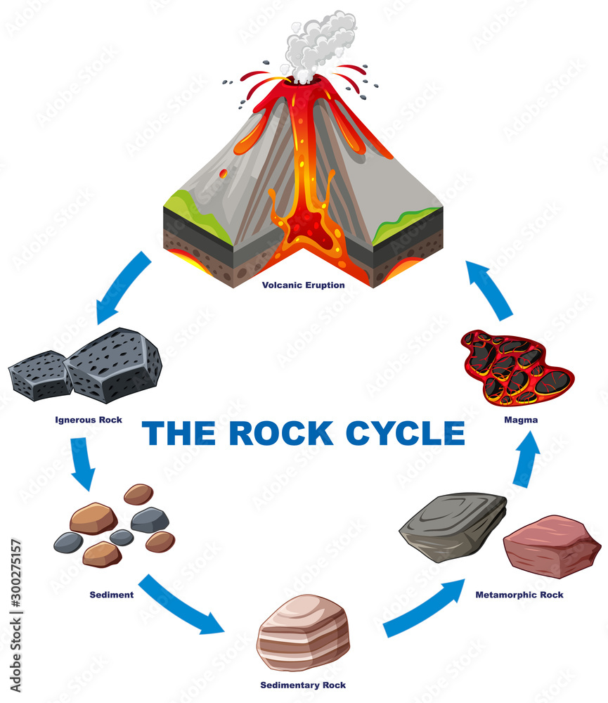 Diagram showing rock cycle Stock Vector | Adobe Stock