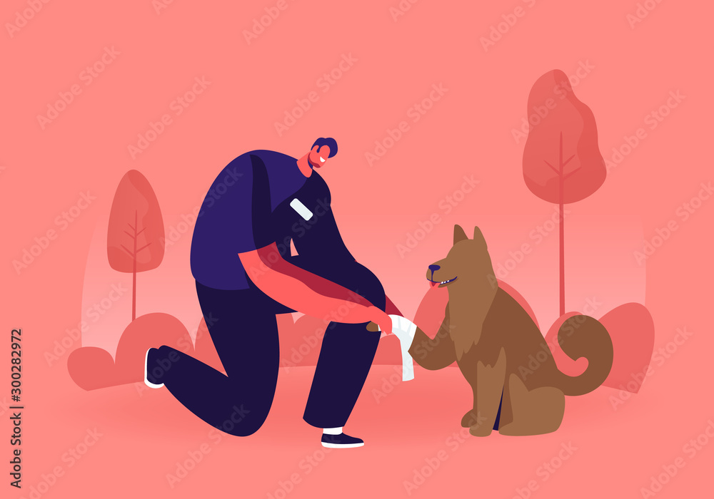 Young Man Standing on Knee Bandage Homeless Dog Paw. Volunteer Take ...