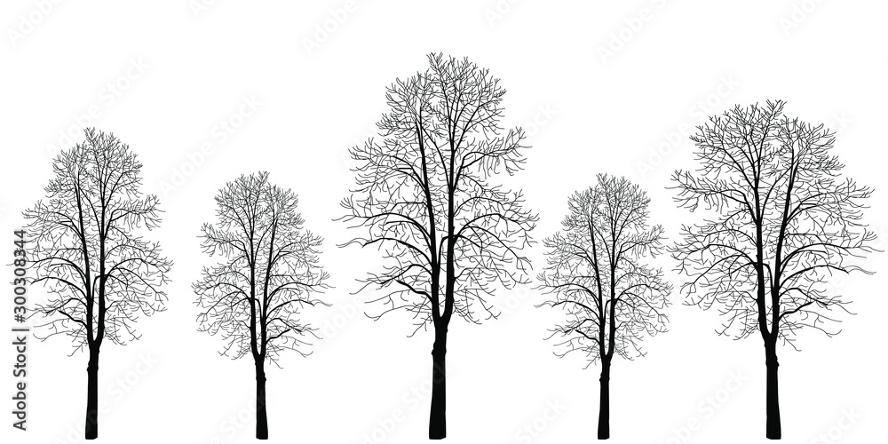 Five trees of different colors. Trees without leaves. Bare tree trunks ...