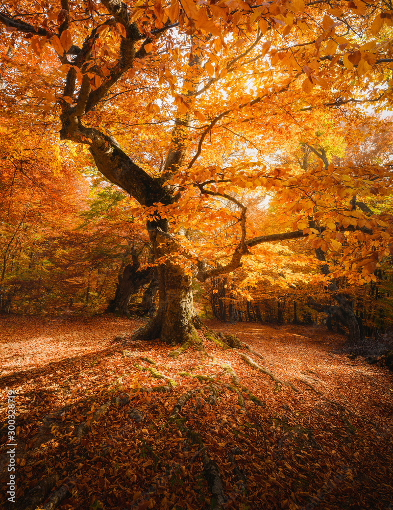 Beautiful Fall Landscape Pictures