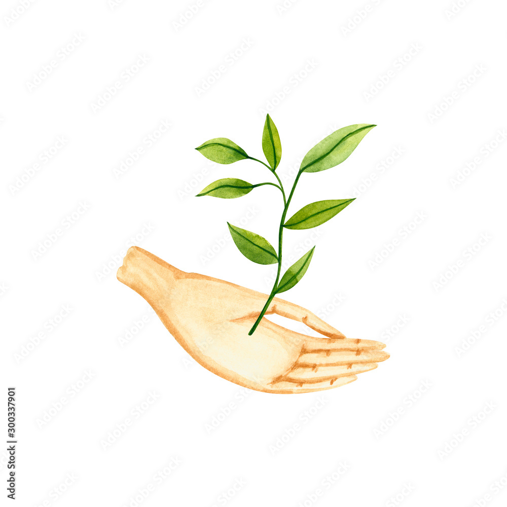 Watercolor hand with green plant. Hand drawn illustration isolated on ...