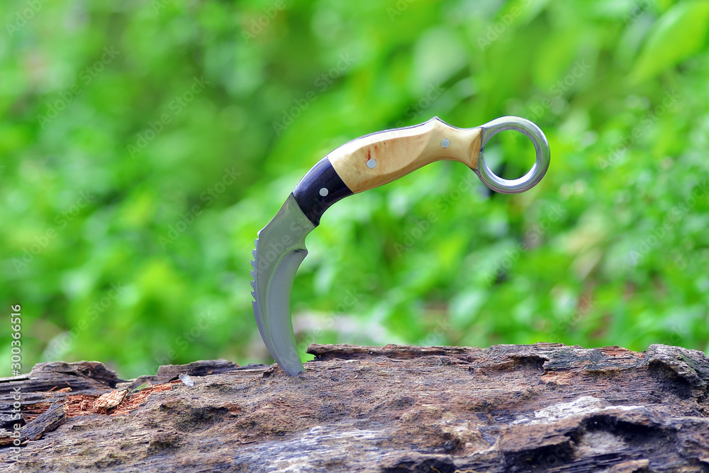 Traditional Karambit