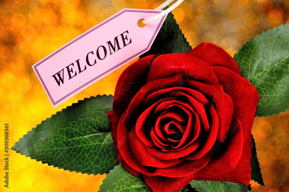 Foto Stock Welcome and red rose flower. A written message, a ritual of ...