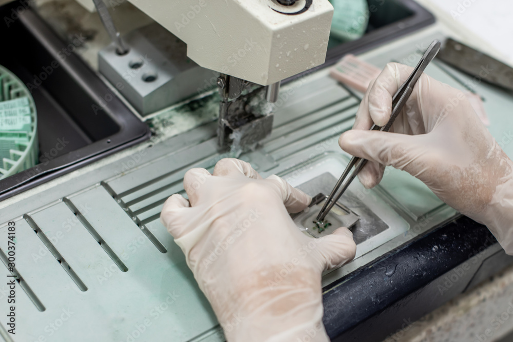 Pathological officers are preparing a biopsy for diagnosis by a ...