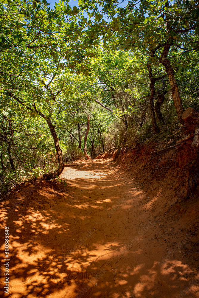 With pine needles covered pathway through ochre sand and red rocks of ...